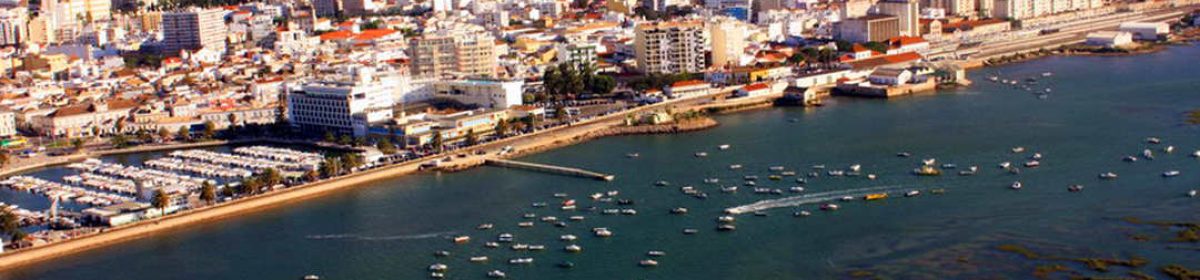 Multiscale Modelling And Simulation Workshop 16th Edition A Workshop